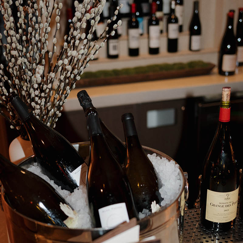 Peak Spring Energy in Aspen | MOLLIE Aspen